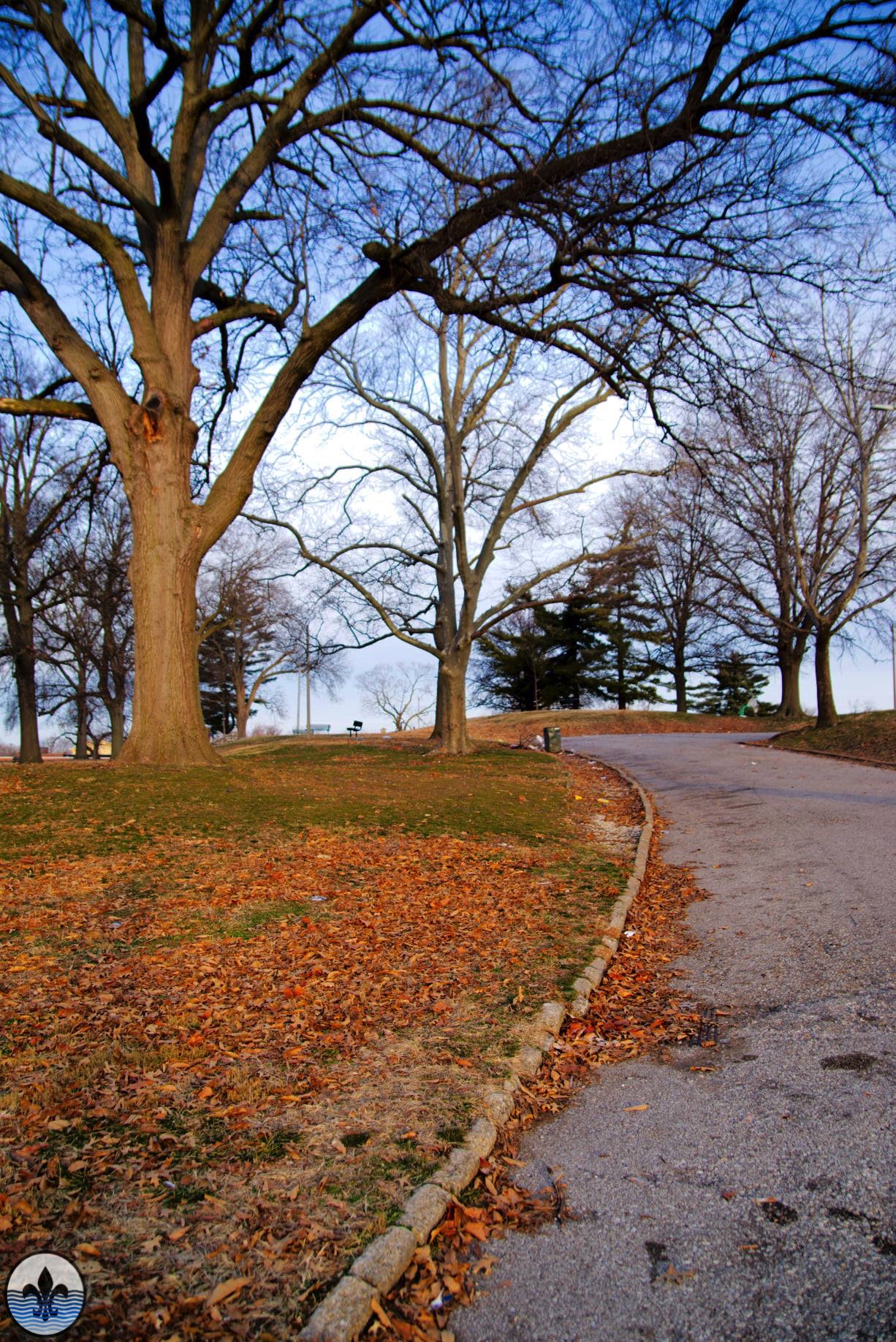 Photo Flood 101: Kingsway West – Photoflood Stl