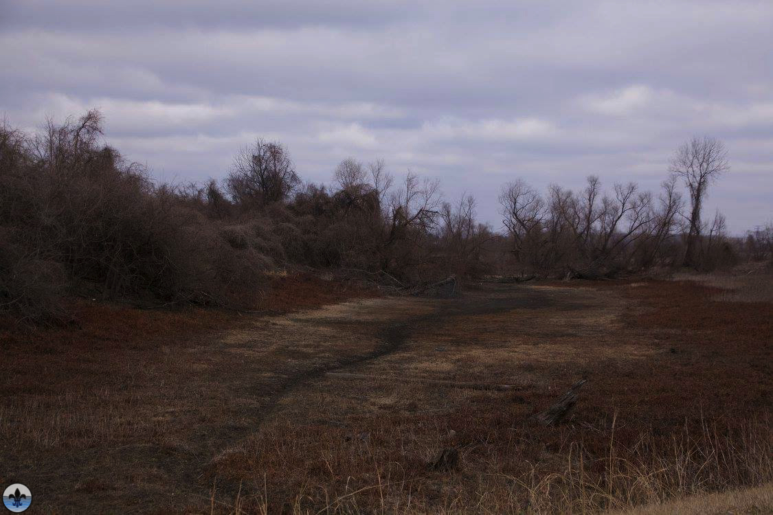 Mini-Flood 57: Chouteau Island – Photoflood Stl